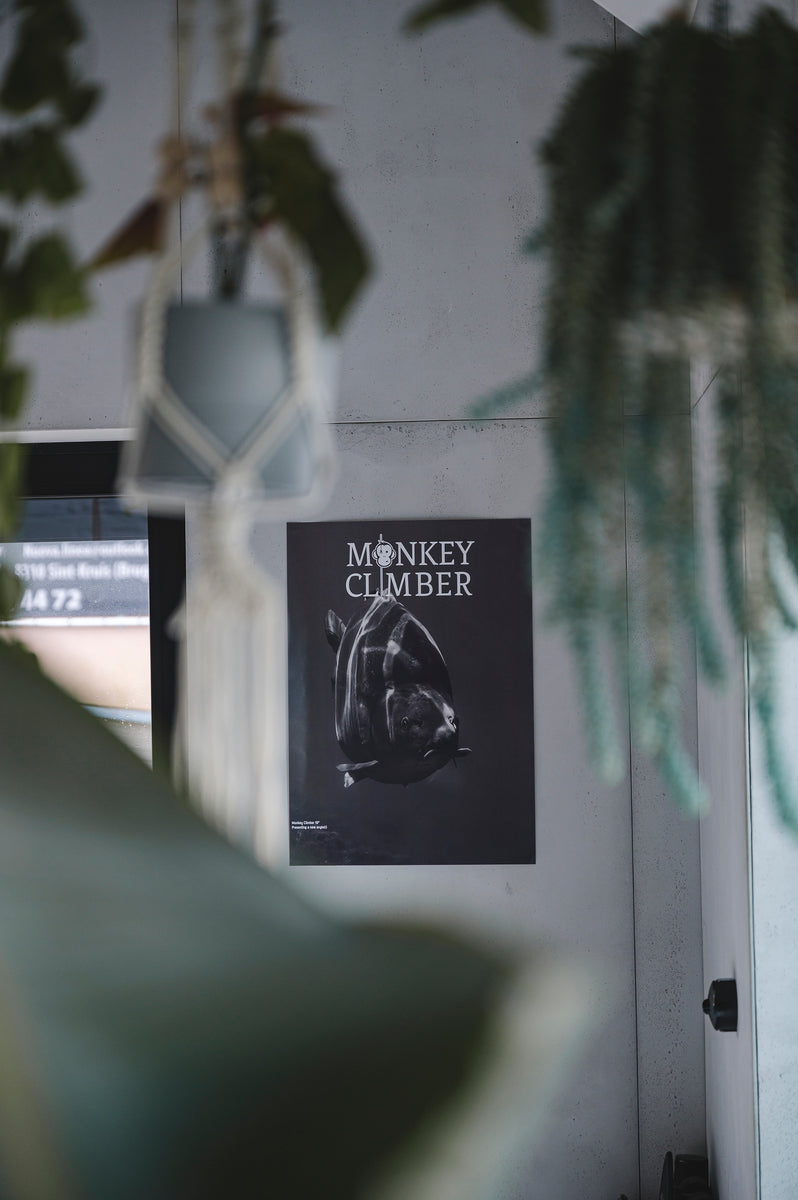 Monkey Climber Issue #19 Unter Wasser print I 50 x 70 cm poster – Monkey Climber Magazine