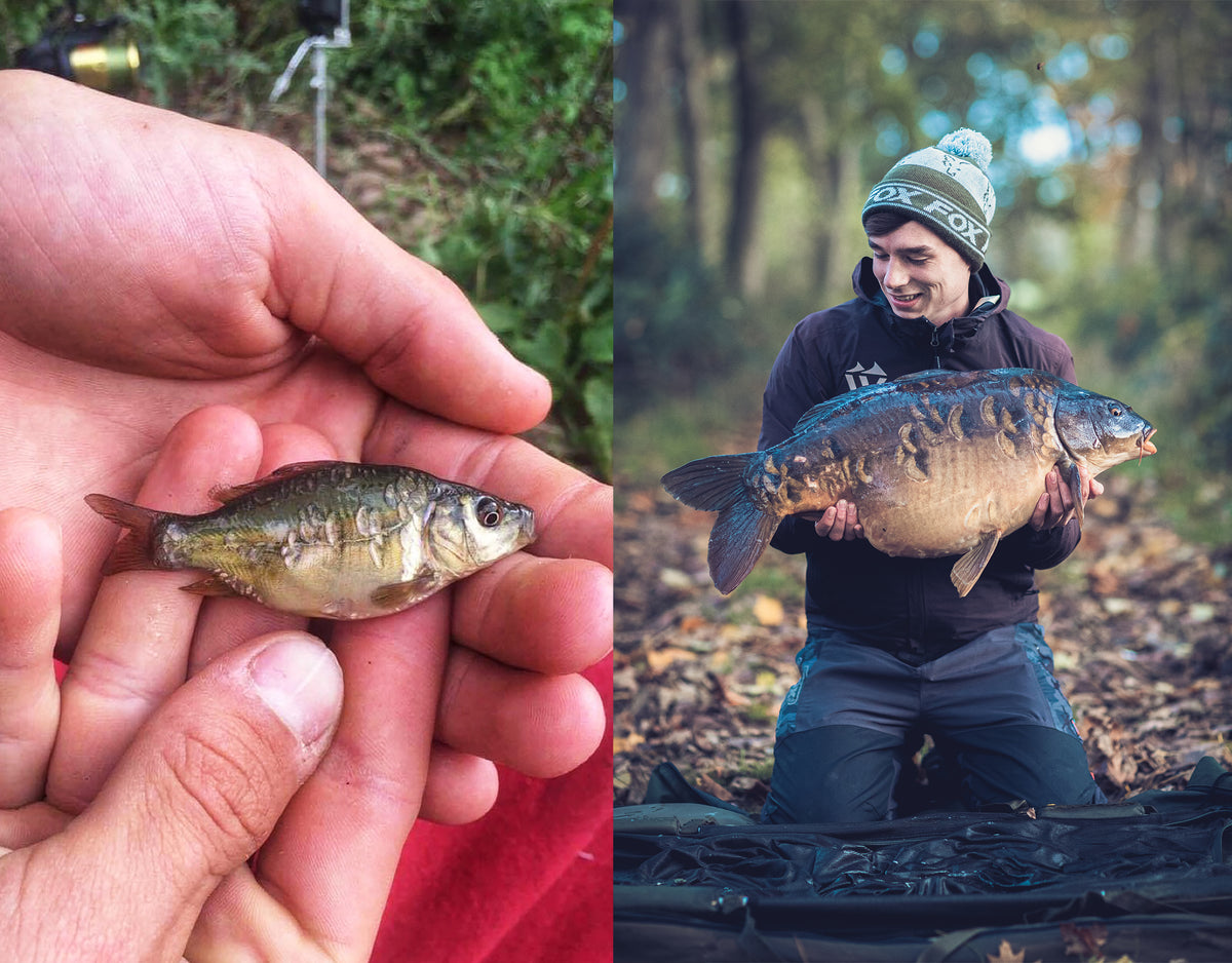 MUST SEE 5 year transformation on the MC syndicate – Monkey Climber ...