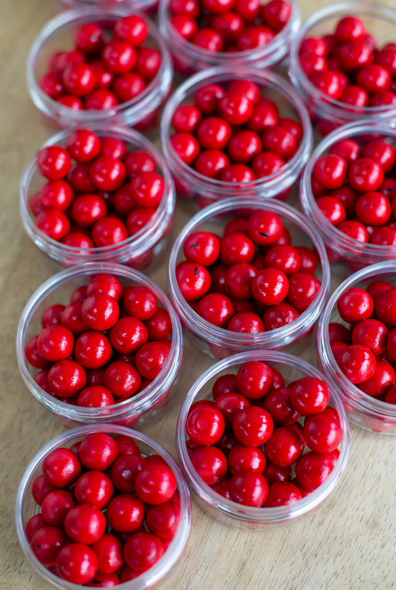 Red Spice pop ups I Deep red 16mm – Monkey Climber Magazine